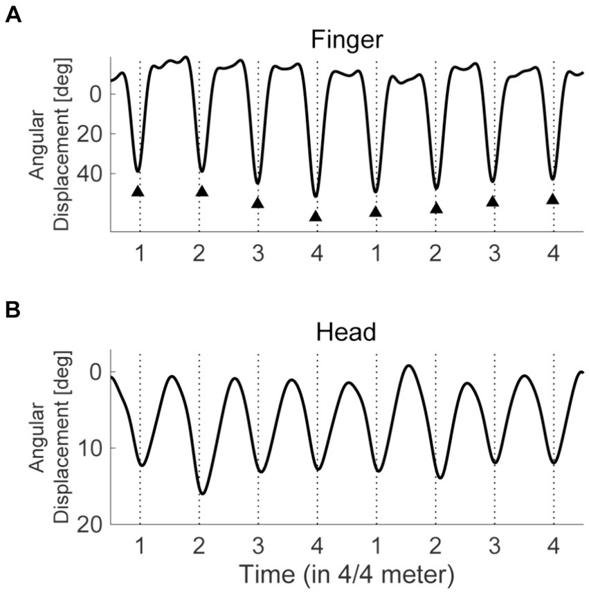 Frontiers | Head movements induced by voluntary neck flexion stabilize ...
