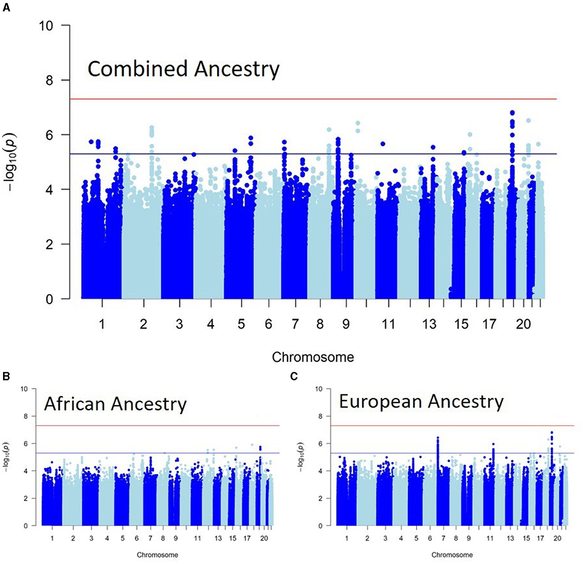 Frontiers | Diversity in genetic risk of recurrent stroke: a genome ...