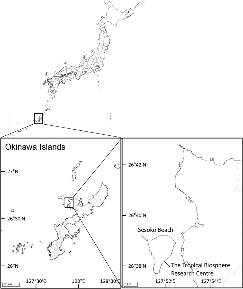 Frontiers | Coexistence of nonfluorescent chromoproteins and ...