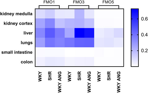Frontiers | Spontaneously hypertensive rats exhibit increased liver ...