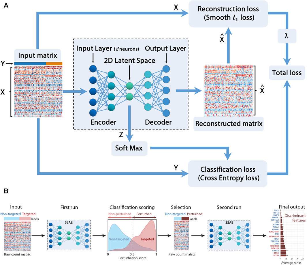 Frontiers | Detecting subtle transcriptomic perturbations induced by lncRNAs knock-down in ...