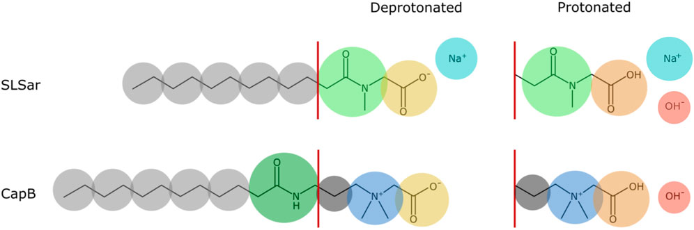 Frontiers | Simulating micelle self-assembly to assess potential for ...