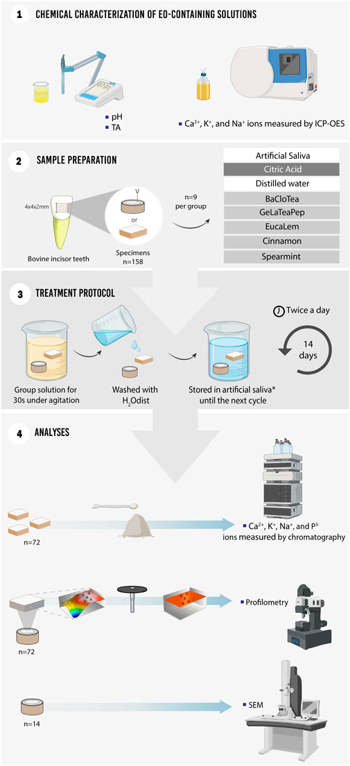 Frontiers | Essential oil-containing solutions (mouthwashes) preserve ...