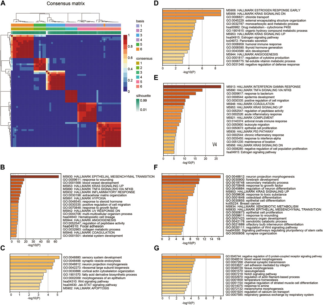 Frontiers | Stromal cell-expressed malignant gene patterns contribute to the progression of ...