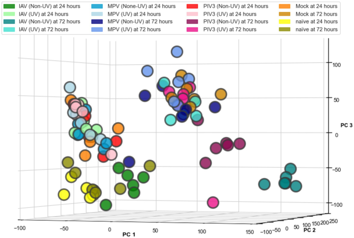 Frontiers | Analysis of gene expression dynamics and differential expression in viral infections ...