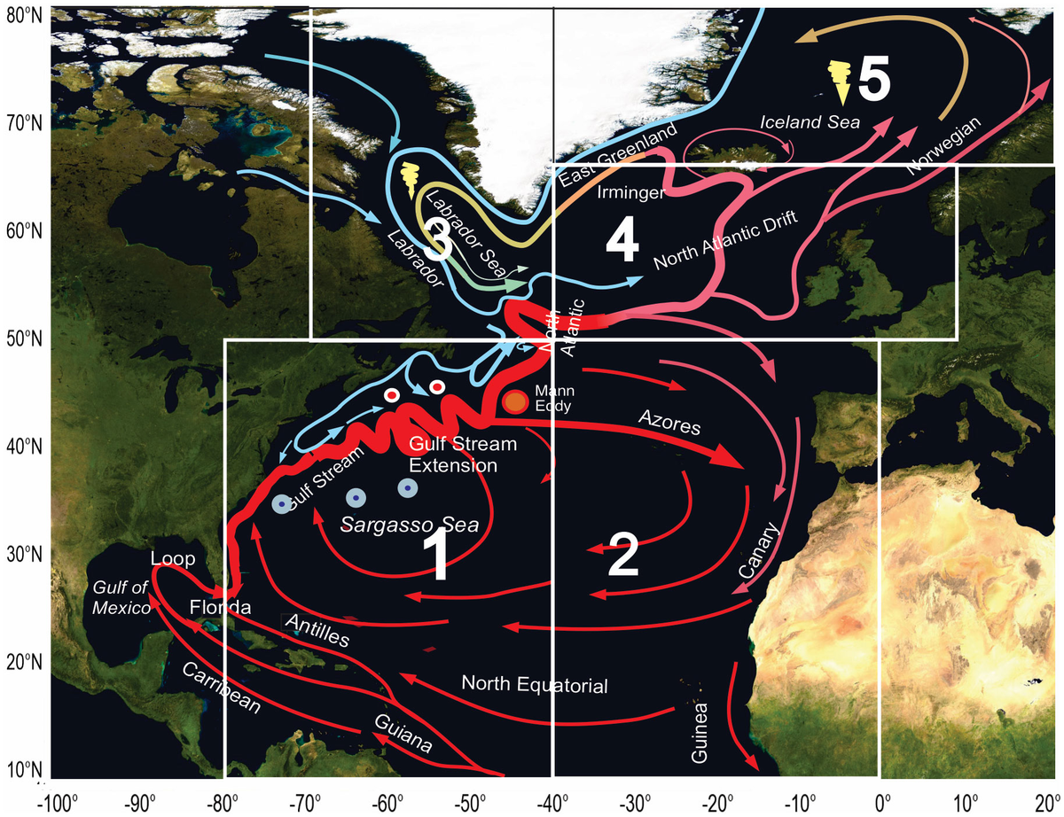 Frontiers | Revisiting the multidecadal variability of North Atlantic ...
