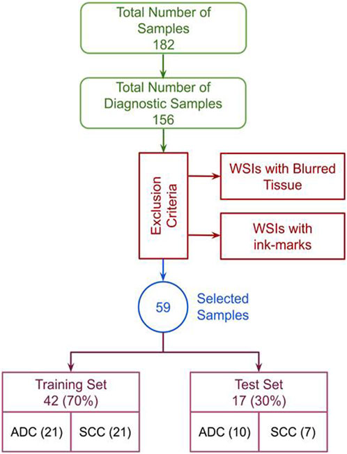 Frontiers | Deep learning-based identification of esophageal cancer ...