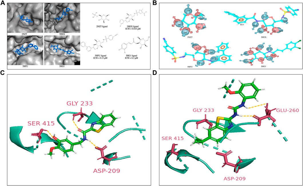Frontiers | Targeting hexokinase 2 for oral cancer therapy: structure ...