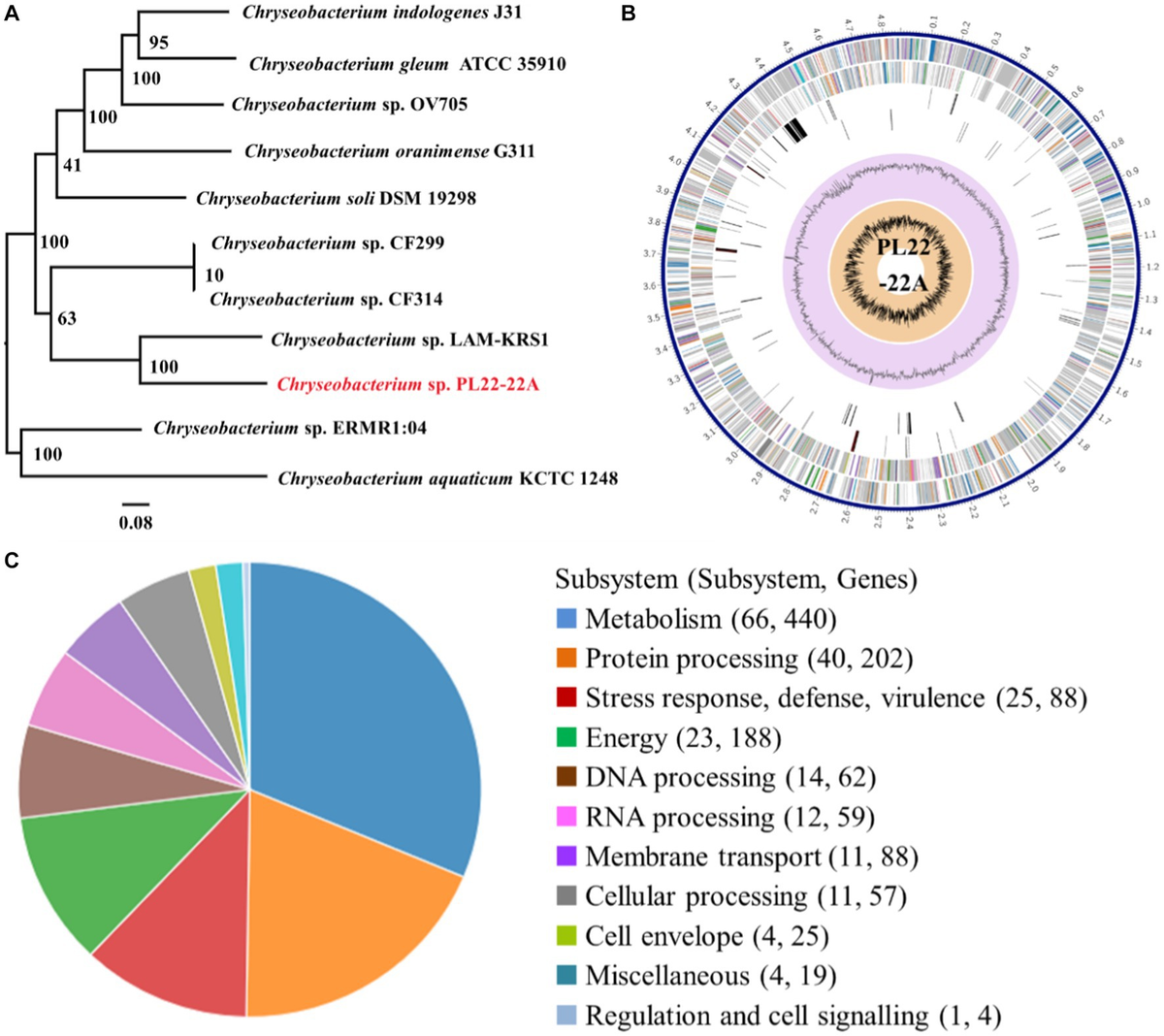 Frontiers | A novel major facilitator superfamily-type tripartite ...