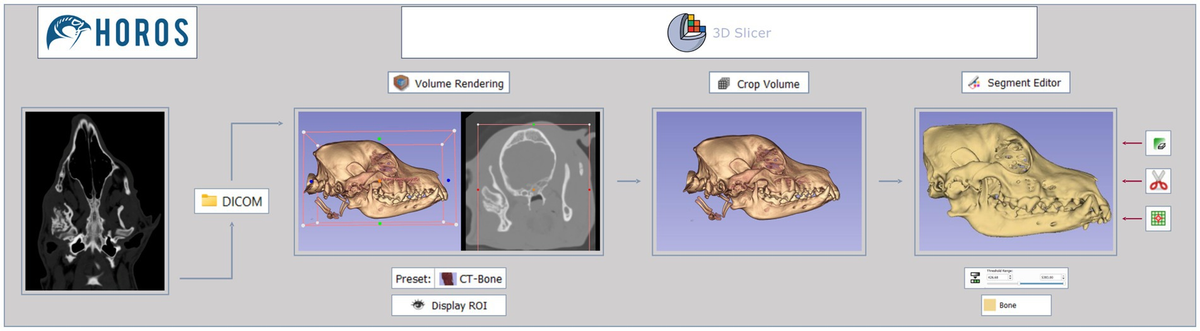 Frontiers | In-house three-dimensional printing for surgical planning ...