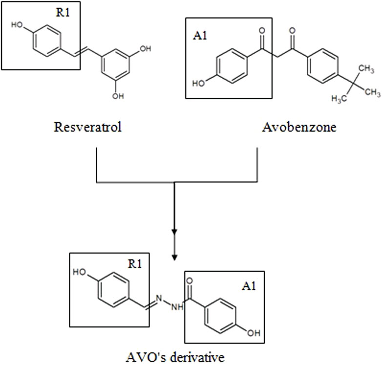 Frontiers | Evaluation of the photoprotective and antioxidant potential ...
