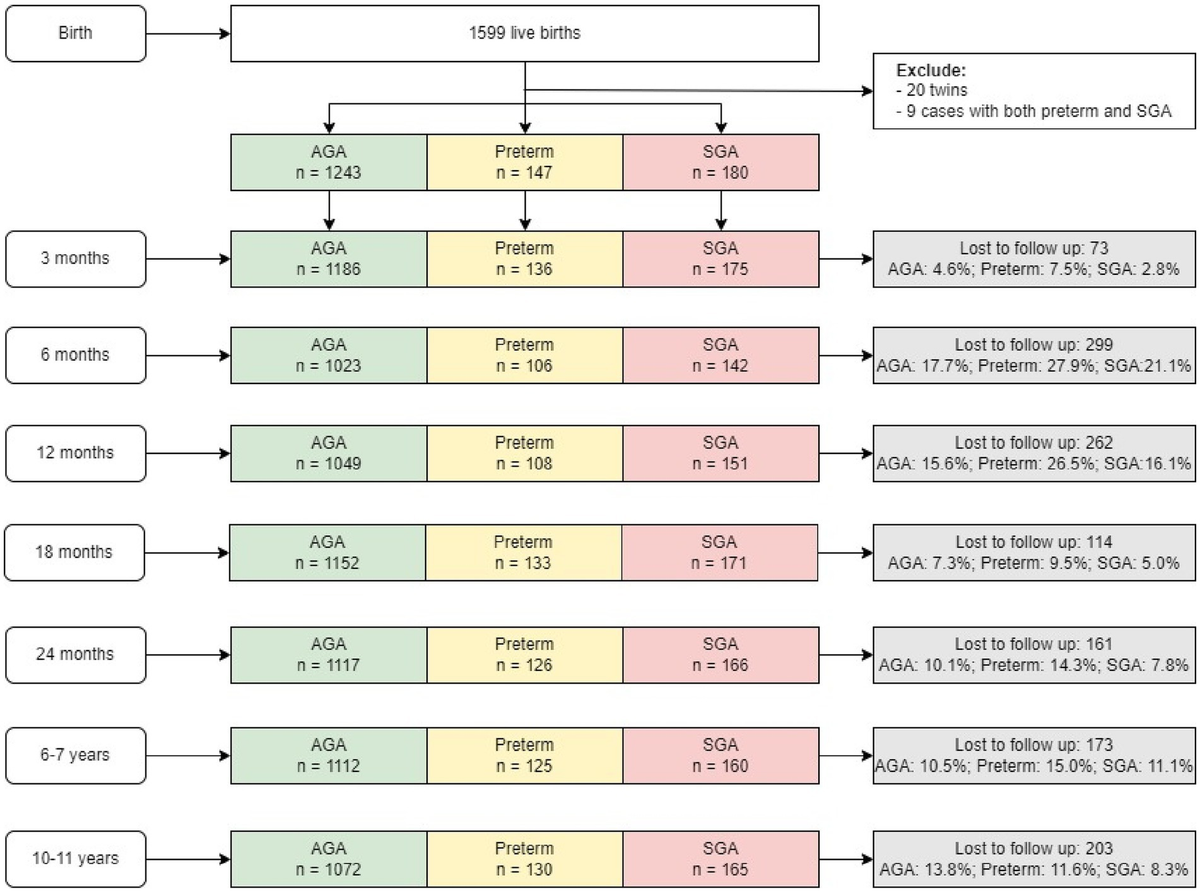 Small For Gestational Age Growth Chart