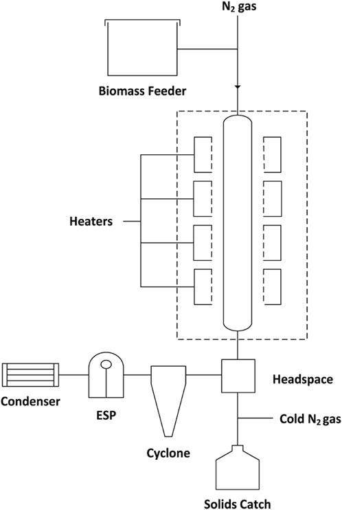 Frontiers | Structural and chemical changes in hardwood cell walls ...