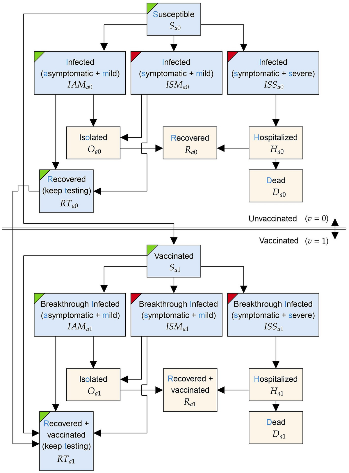 Frontiers | On the impact of mass screening for SARS-CoV-2 through self ...