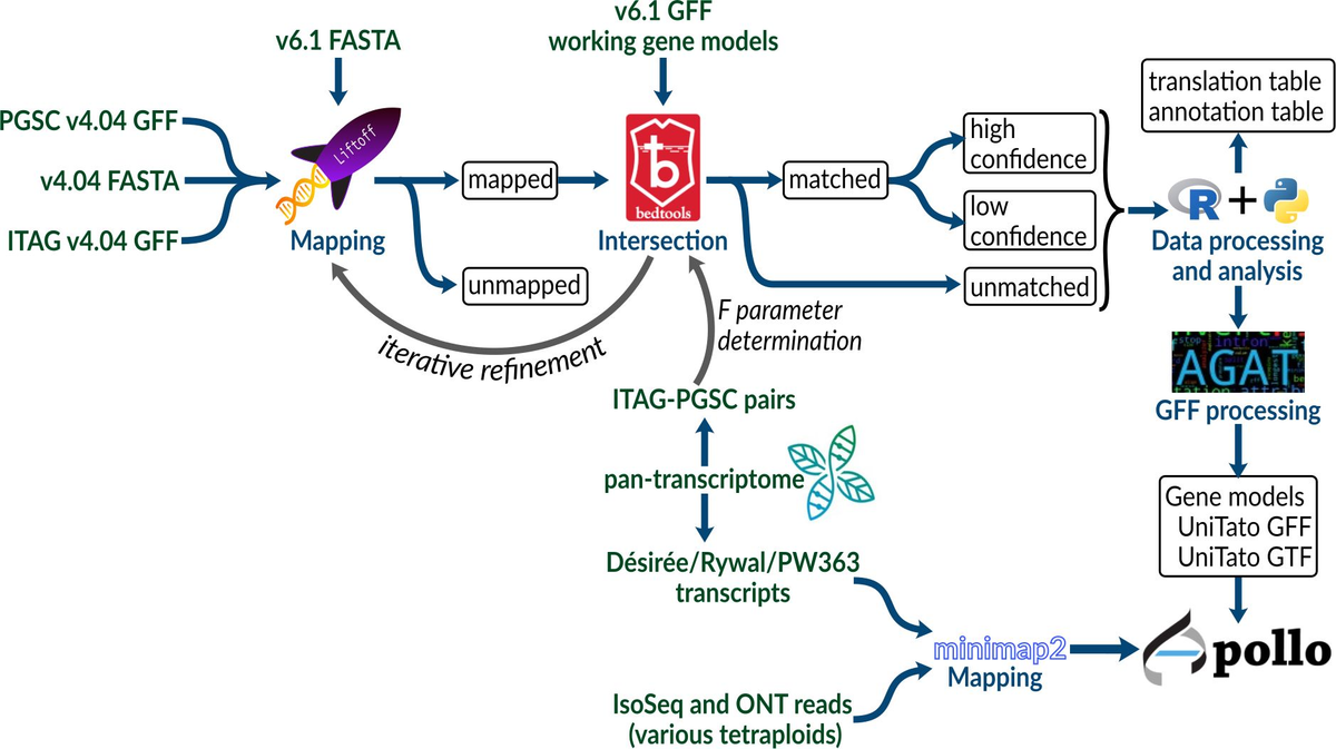 Frontiers | Evidence-based unification of potato gene models with the ...