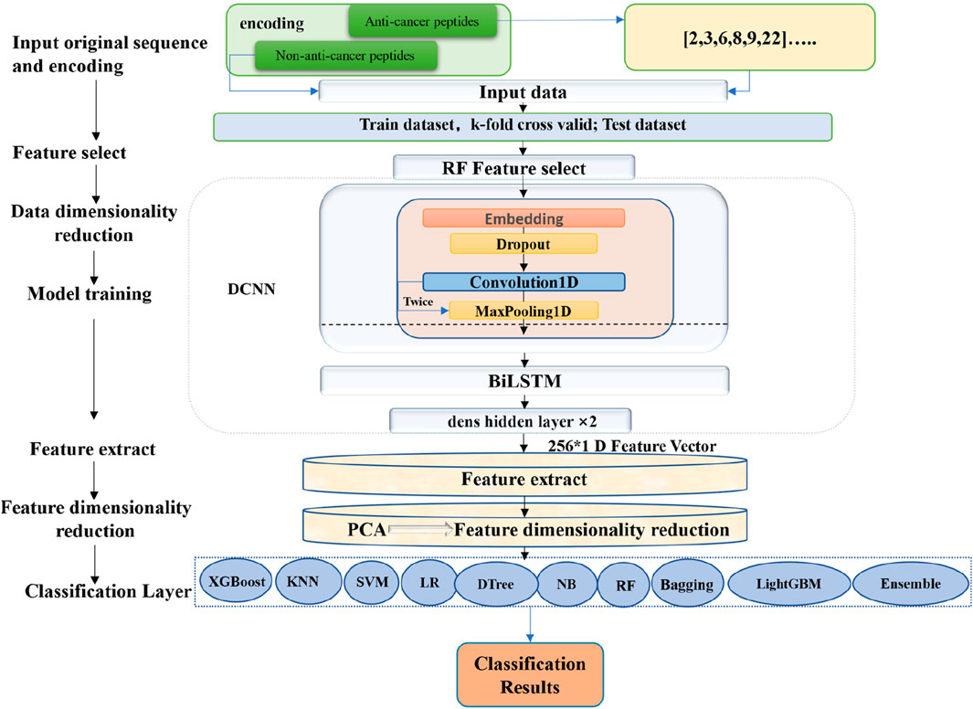 Frontiers | ACPPfel: Explainable deep ensemble learning for anticancer ...