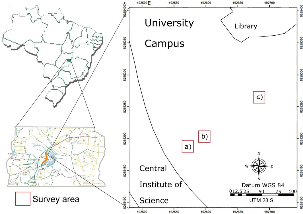 Frontiers | Imaging tree root systems using ground penetrating radar ...