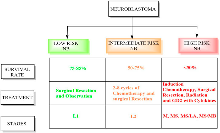 Frontiers | Revolutionizing pediatric neuroblastoma treatment ...