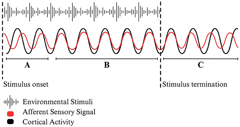 Frontiers | Prospects of cognitive-motor entrainment: an ...