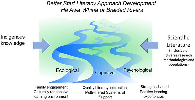 Frontiers | Large scale implementation of effective early literacy ...