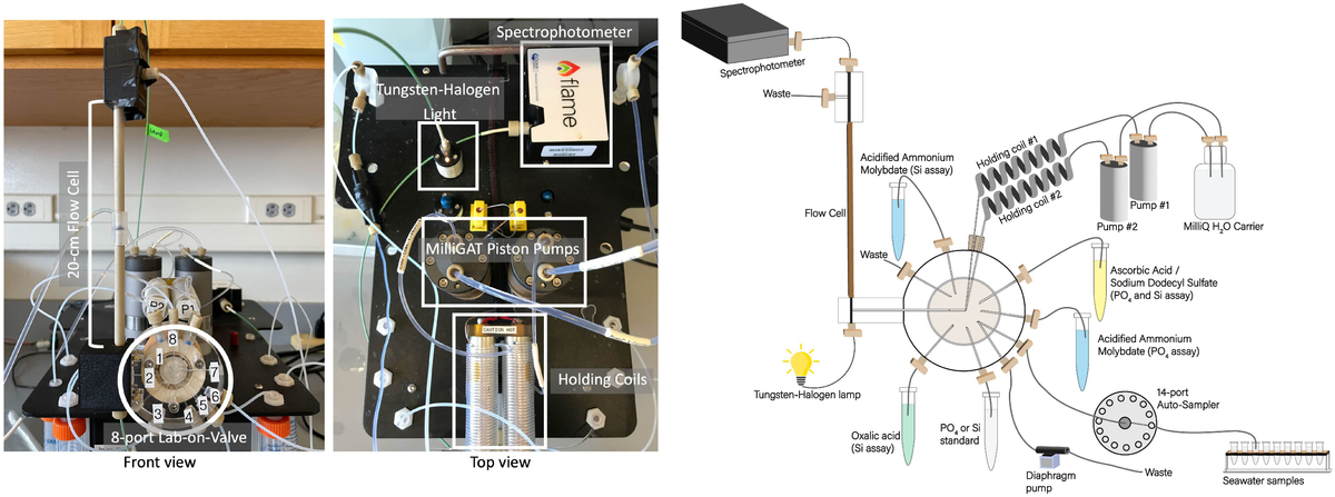 Frontiers | Programmable flow injection: a versatile technique for ...