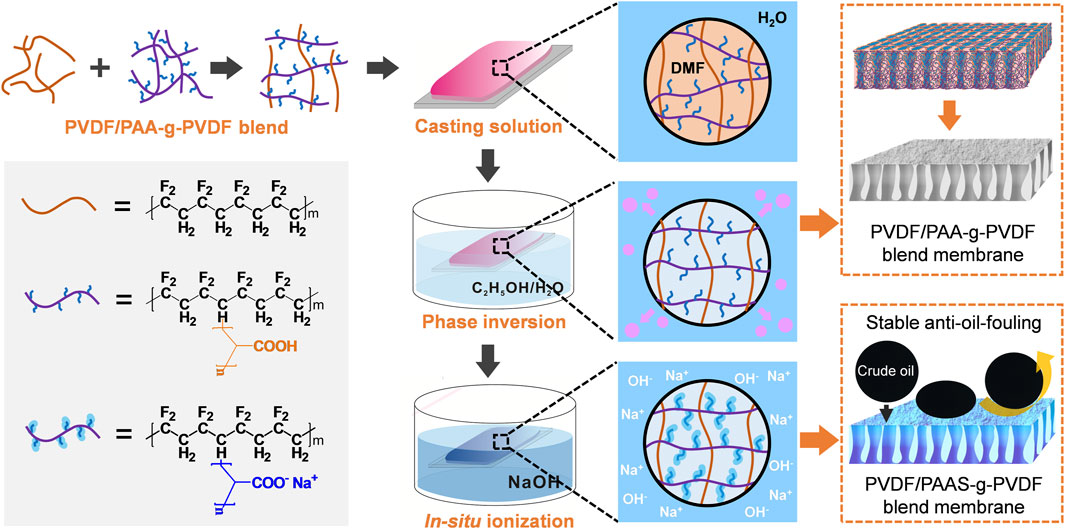 Frontiers | In-situ ionized construction of PVDF/sodium polyacrylate ...