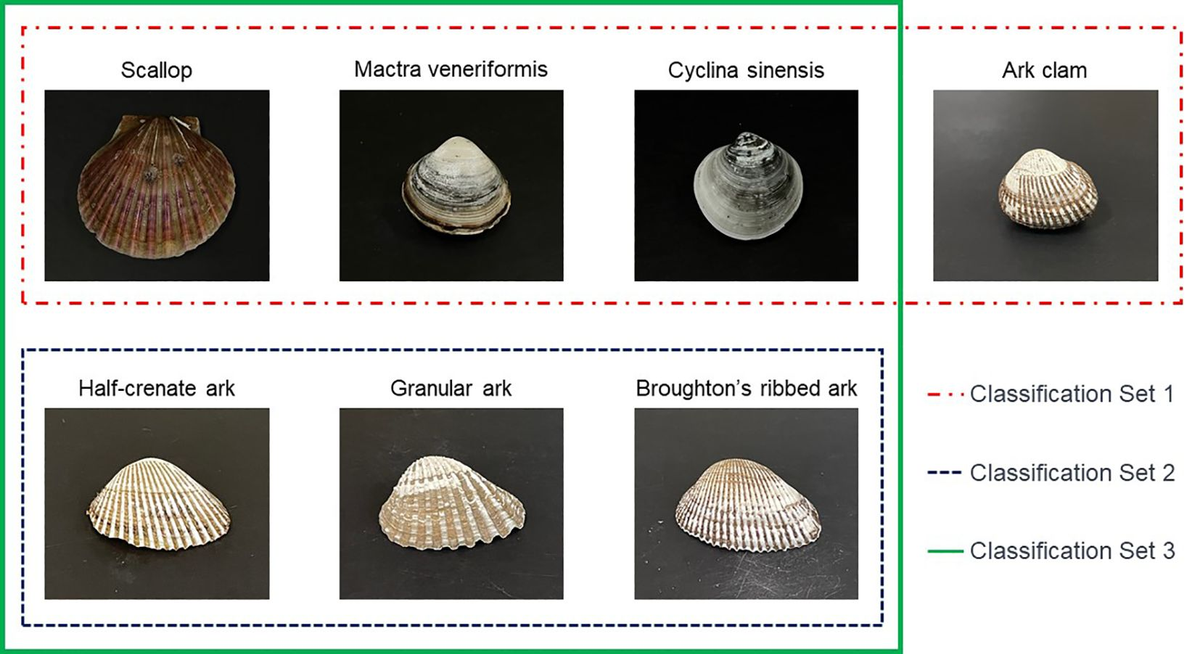 Frontiers | Deep learning-based phenotype classification of three ark ...