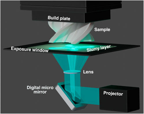 Frontiers | Digital light processing of yttria-stabilized zirconia: Modeling photoinitiator decay