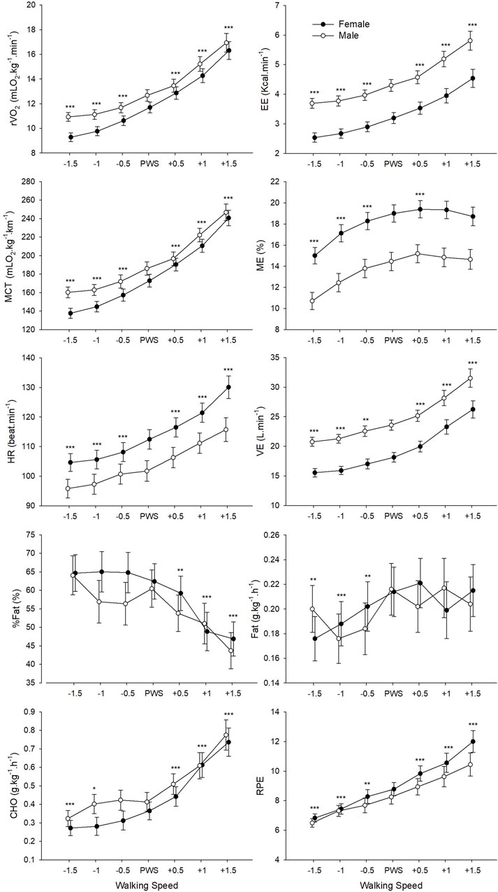 Frontiers Walking Around The Preferred Speed Examination Of