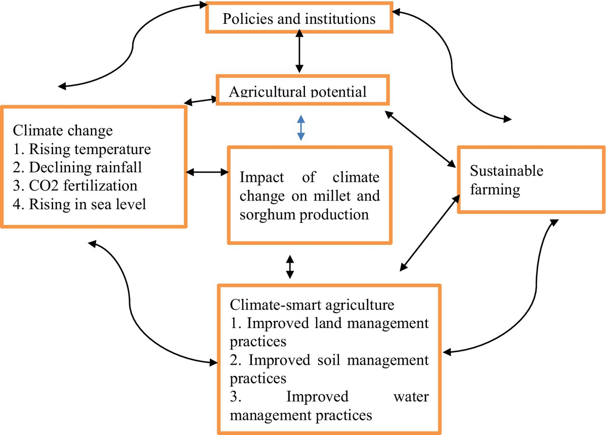 Frontiers | Reducing vulnerability to climate change among millet and ...
