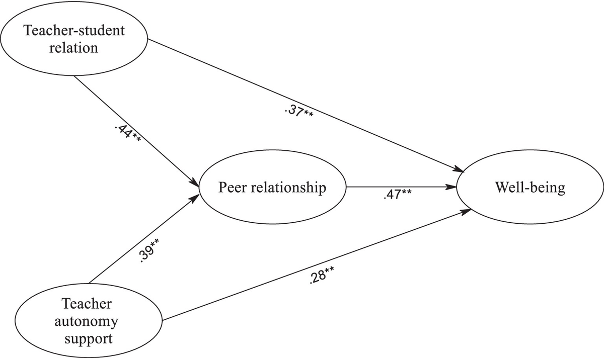 Frontiers | Autonomy support, peer relations, and teacher-student ...