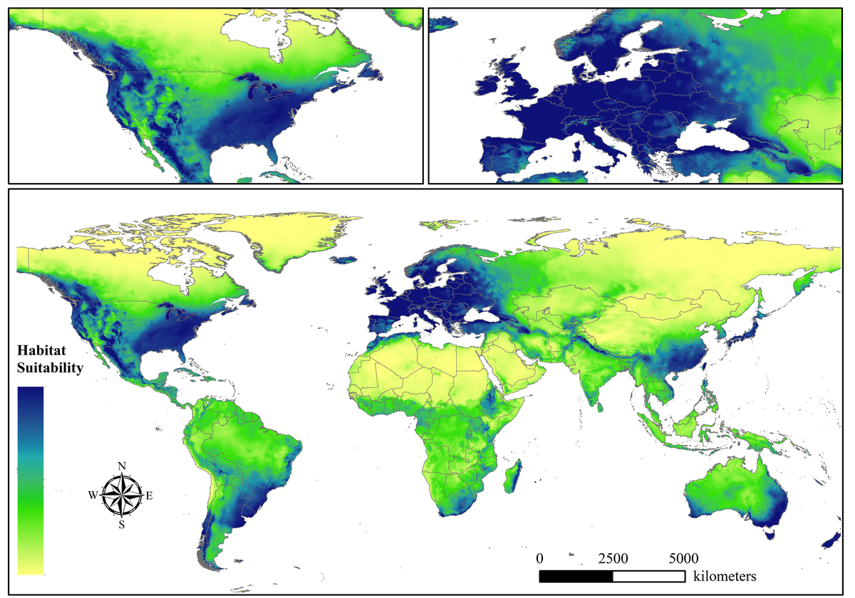 Frontiers | Spatial dynamic simulation of beetles in biodiversity hotspots