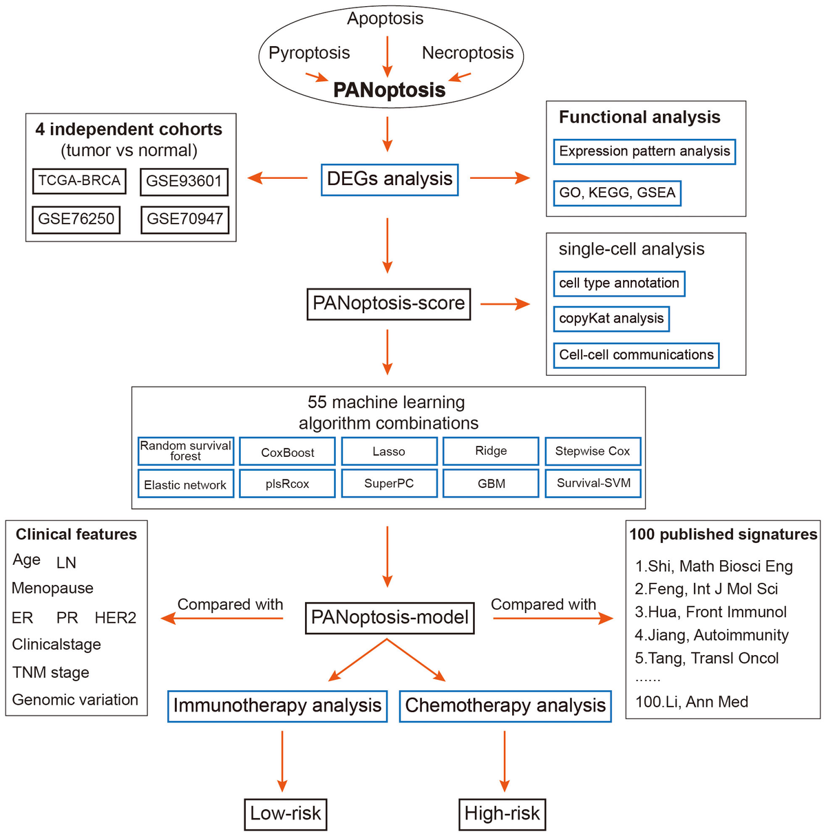 Frontiers | Integrating PANoptosis insights to enhance breast cancer ...
