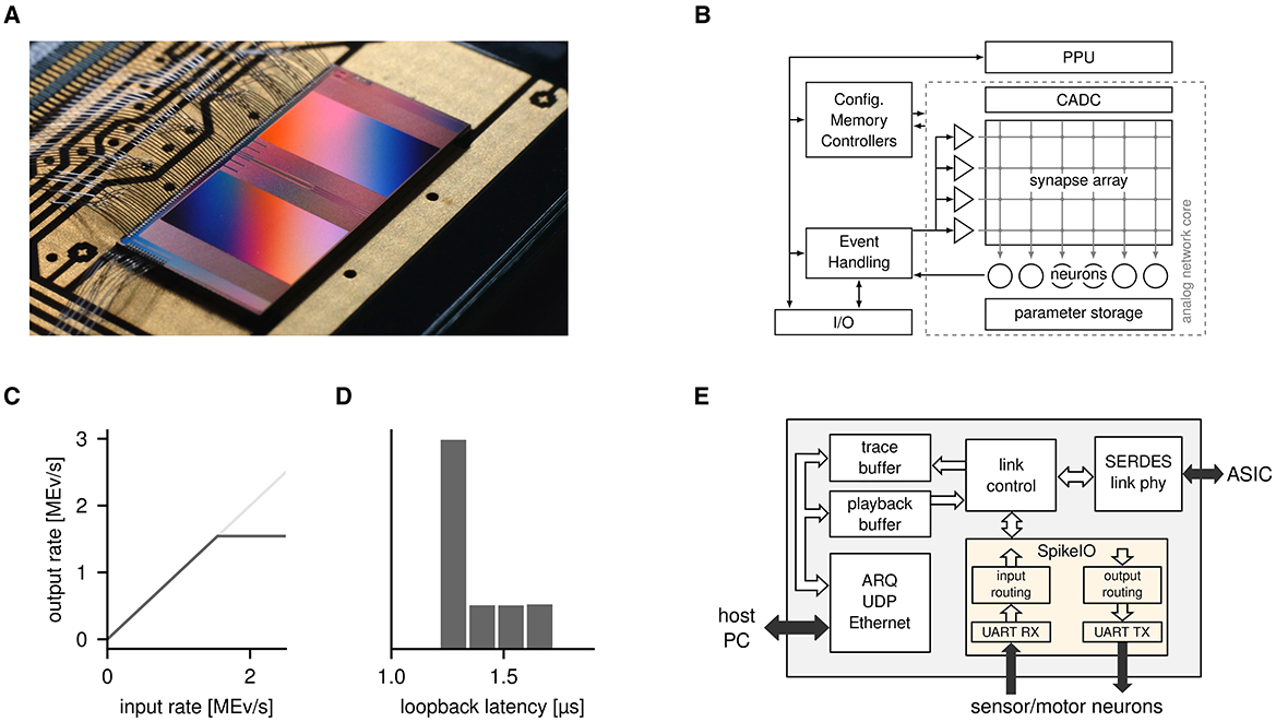 Frontiers | Closing the loop: High-speed robotics with accelerated neuromorphic hardware