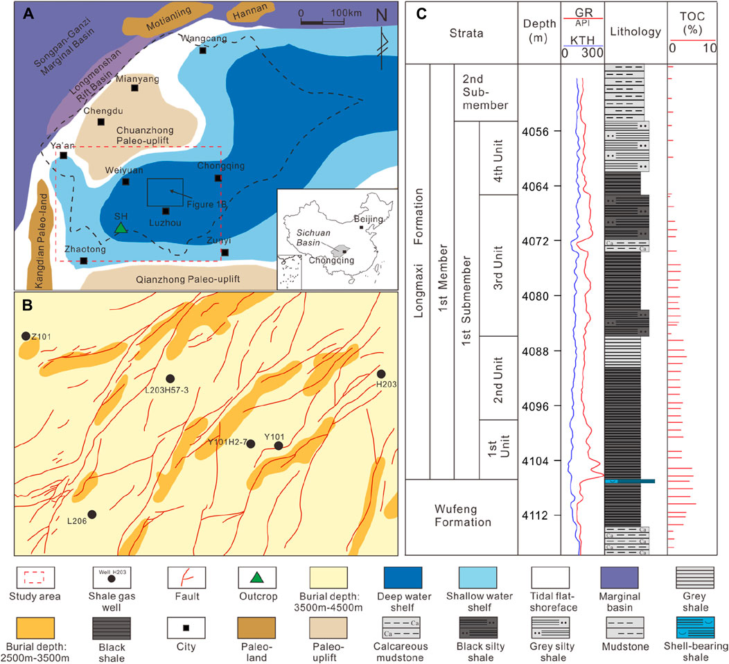 Frontiers | The effect of structural preservation conditions on pore ...