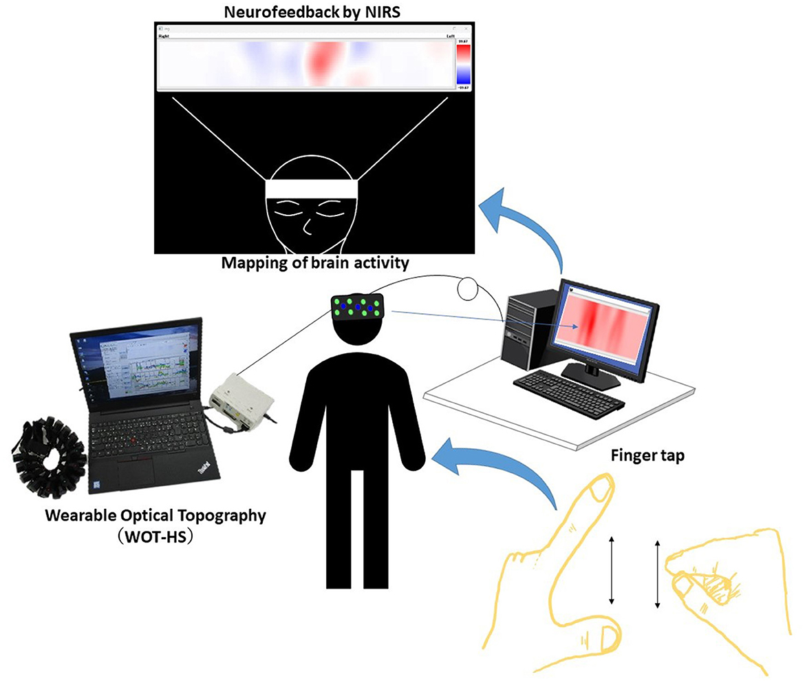 Frontiers | Construction and evaluation of a neurofeedback system using finger tapping and near ...