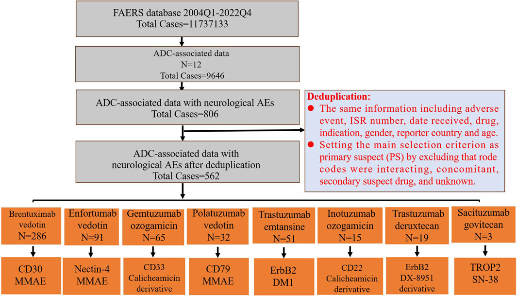 Frontiers | A pharmacovigilance study on antibody-drug conjugate (ADC ...