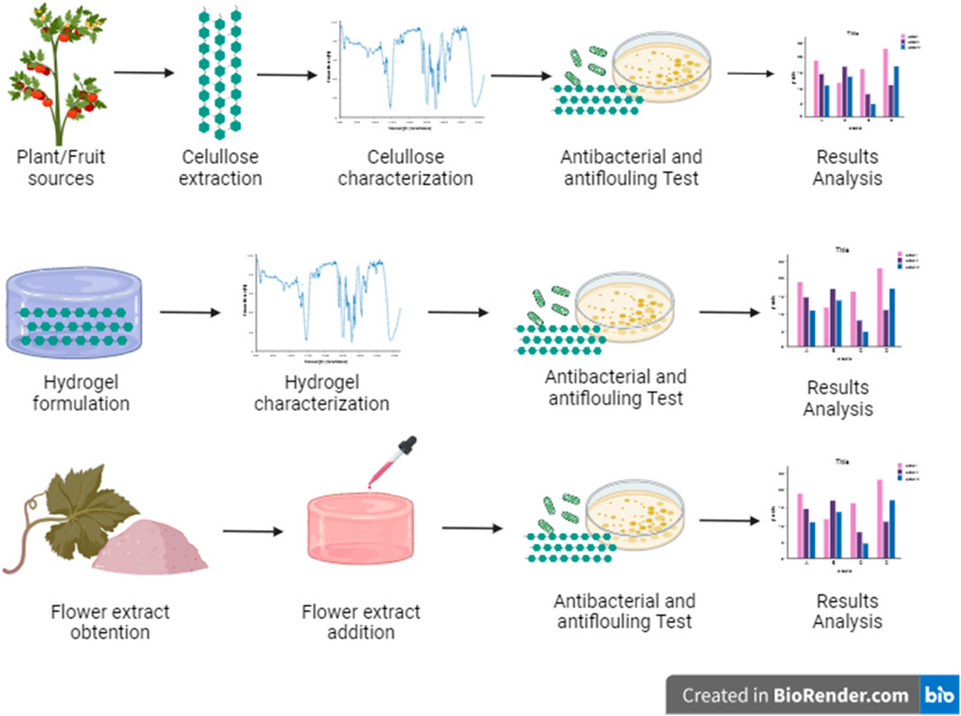 Frontiers | Antimicrobial cellulose hydrogels against gram-positive and ...