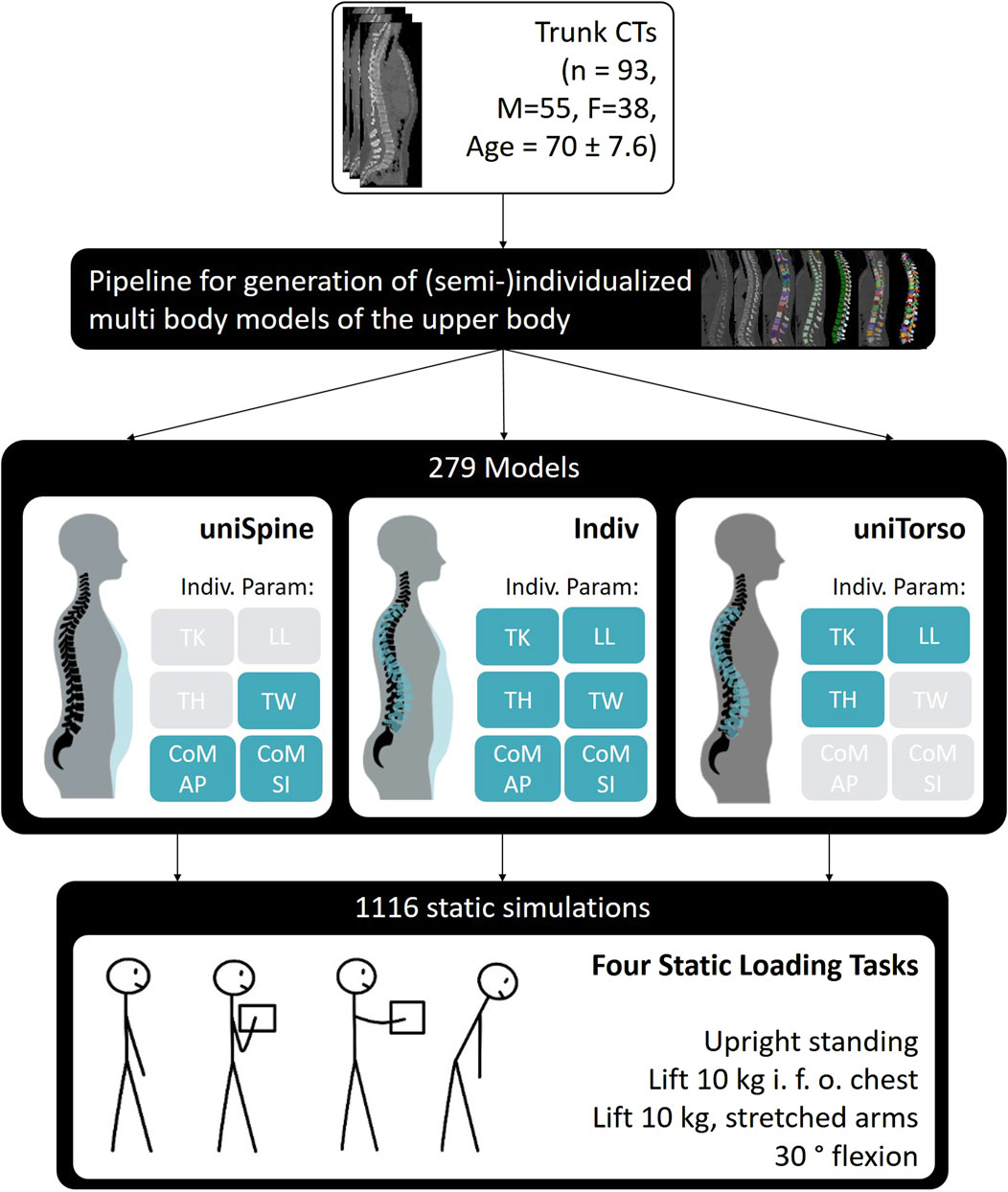 Frontiers | Musculoskeletal spine modeling in large patient cohorts ...