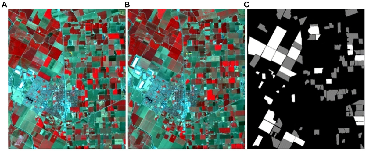 Frontiers | A fast hyperspectral change detection algorithm for agricultural crops based on low ...