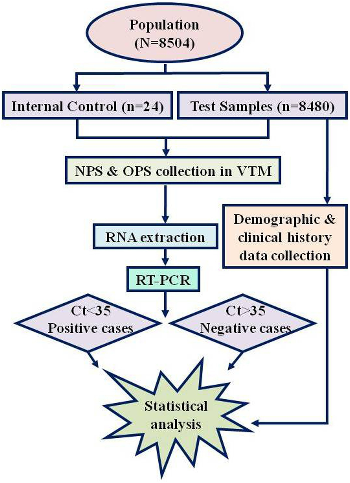 Frontiers | Unveiling the occurrence of COVID-19 in a diverse ...