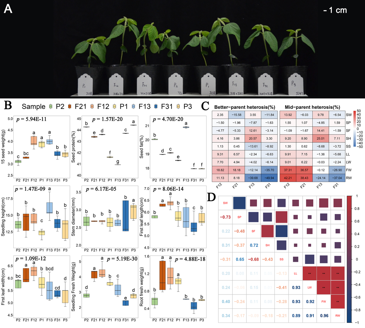 Frontiers Comparative Transcriptomic Analysis Reveals The Molecular