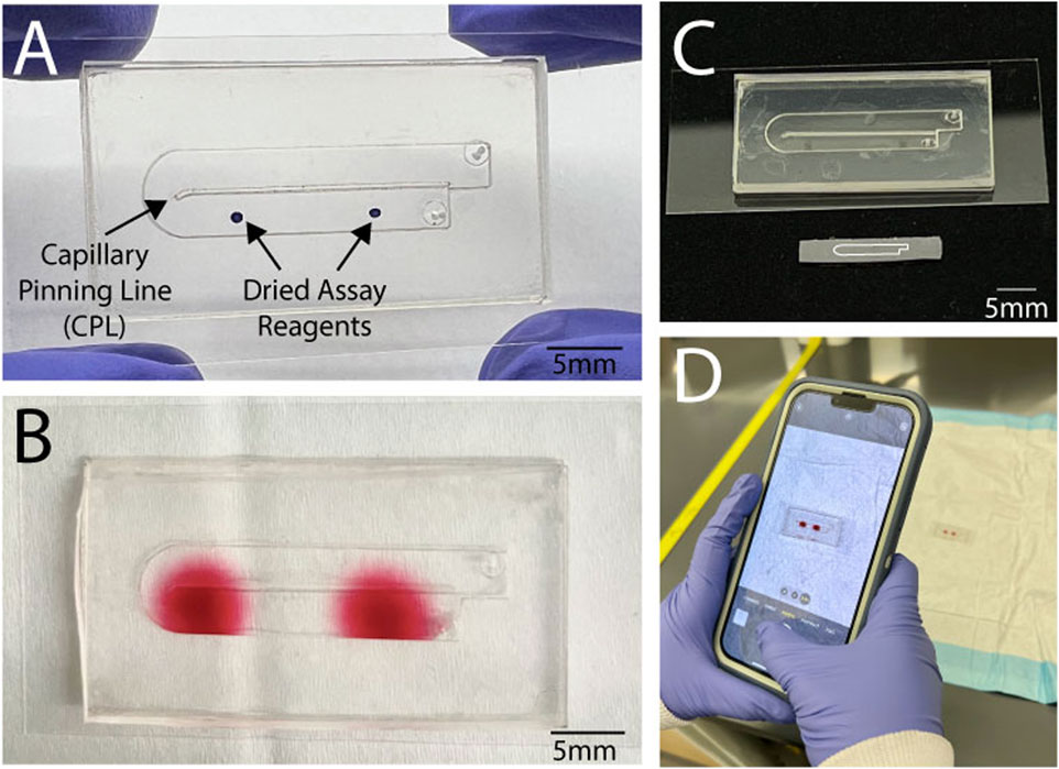 Frontiers | An economical self-coalescing microfluidic device with an easily observable readout
