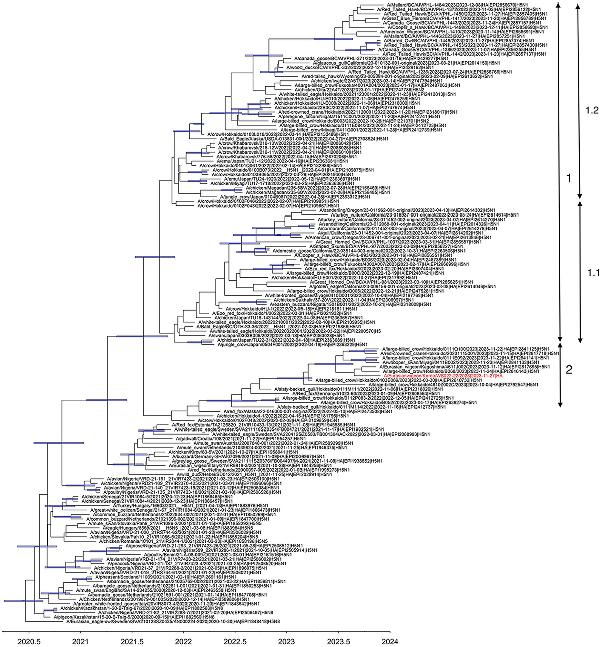 Frontiers | Index case of H5N1 clade 2.3.4.4b highly pathogenic avian influenza virus in wild ...