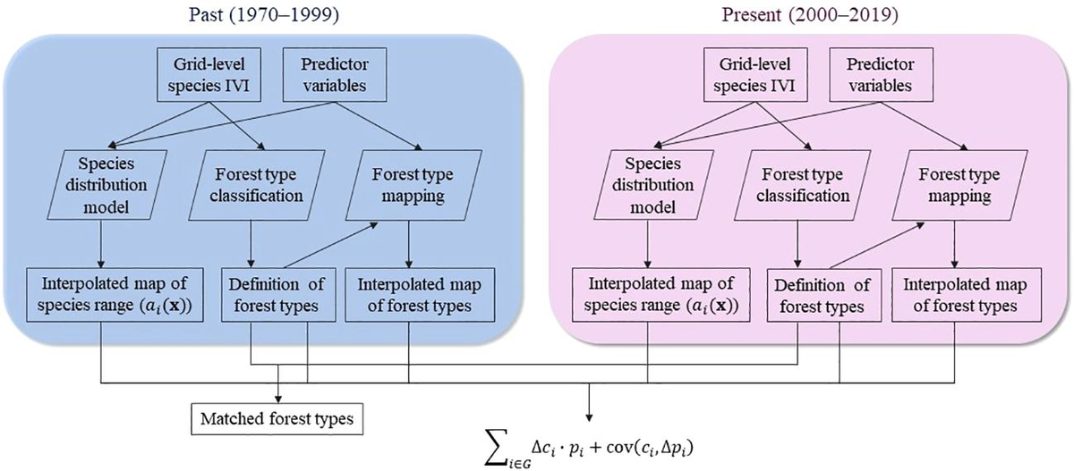 Frontiers | Forest types outpaced tree species in centroid-based range ...