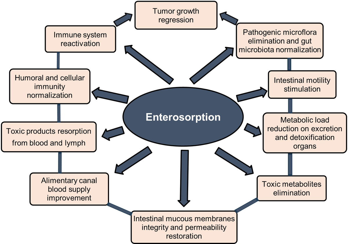 Frontiers | Enterosorption may contribute to the reactivation of ...