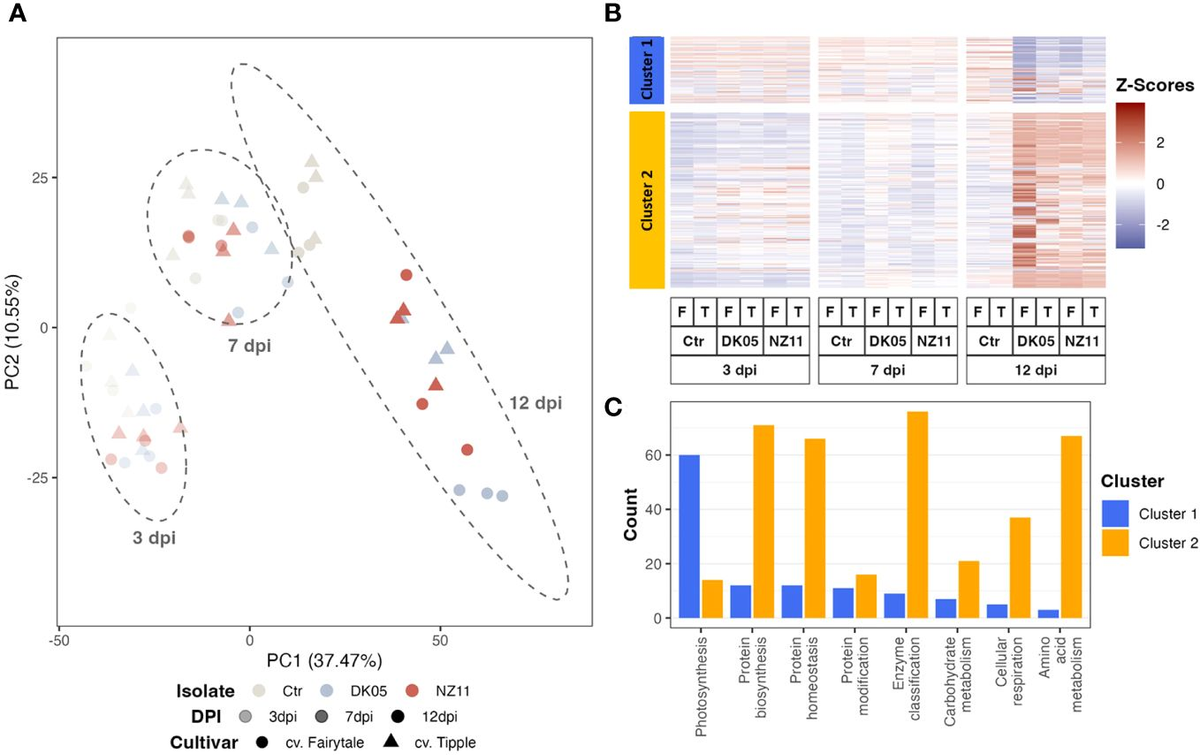 Frontiers | Integrative transcript to proteome analysis of barley ...