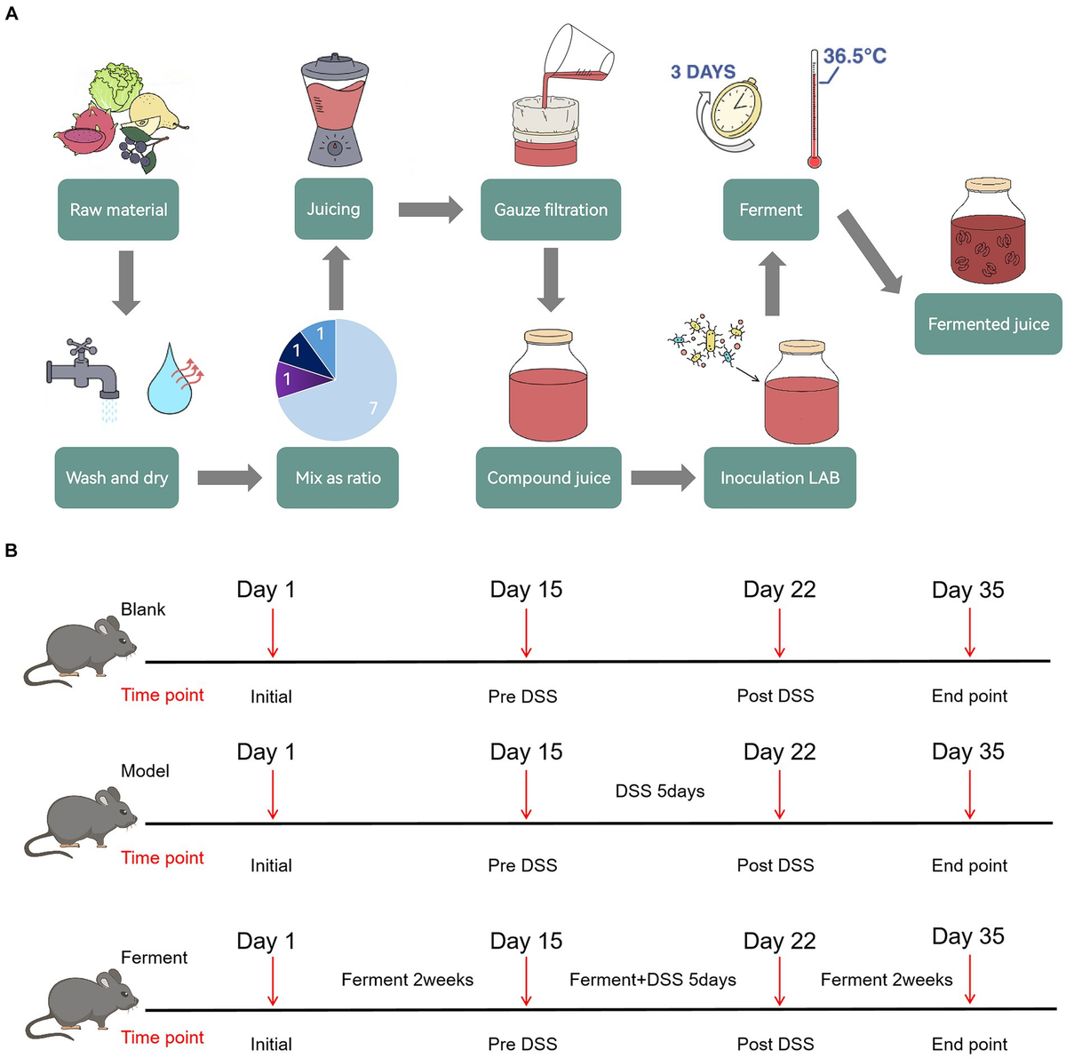 Frontiers | Functional evaluation of pure natural edible Ferment ...