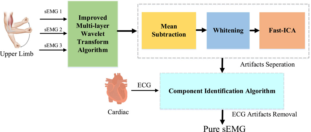 Frontiers Improved Multi Layer Wavelet Transform And Blind Source Separation Based Ecg
