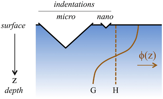 Frontiers | Nanoindentation of Functionally Graded Polymer ...